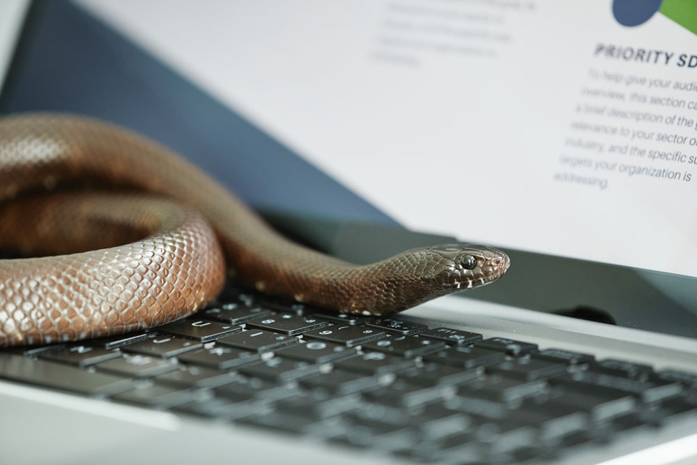 Cyber Security trends for 2024 | Trailblaze IT